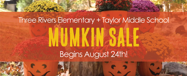 Mumkin Sales 2020